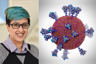 AI-driven modelling of coronavirus spike protein celebrated with Gordon Bell Special Prize ...